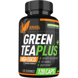 Green Tea PLUS+ – Hochdosierter Grüntee-Extrakt mit EGCG