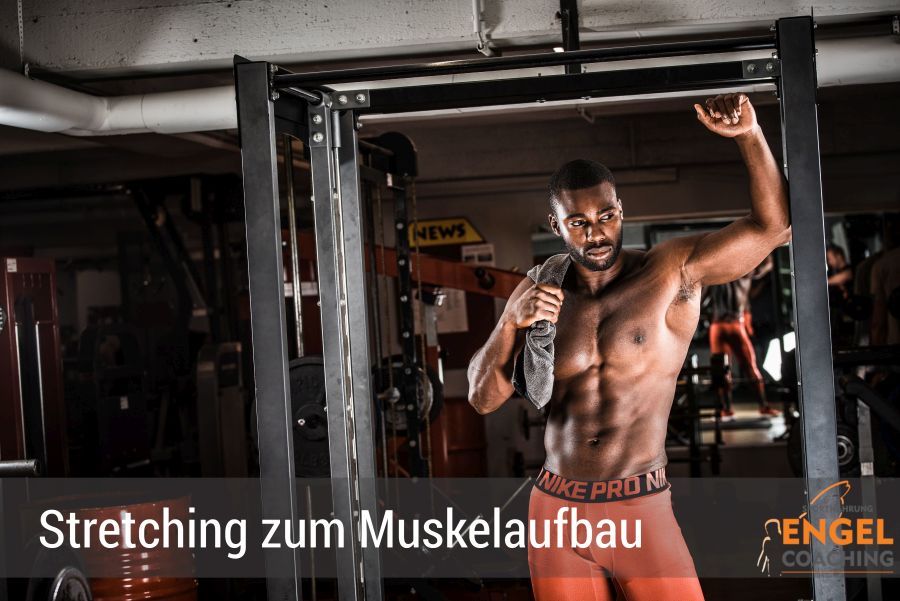 Loaded Stretching für den Muskelaufbau