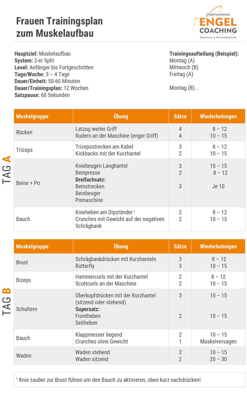 Frauen Trainingsplan für Muskelaufbau und Fitness